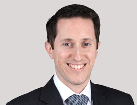 Patents - Intellectual Property Law - Reddie & Grose