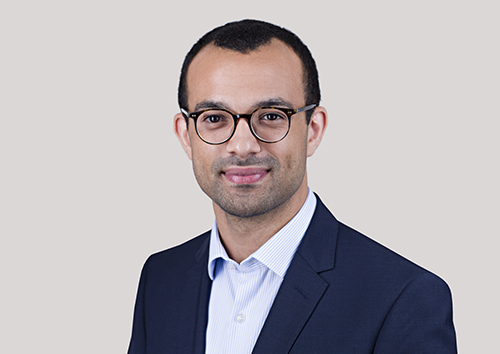 Edward Nelson - Intellectual Property Attorneys - Reddie & Grose