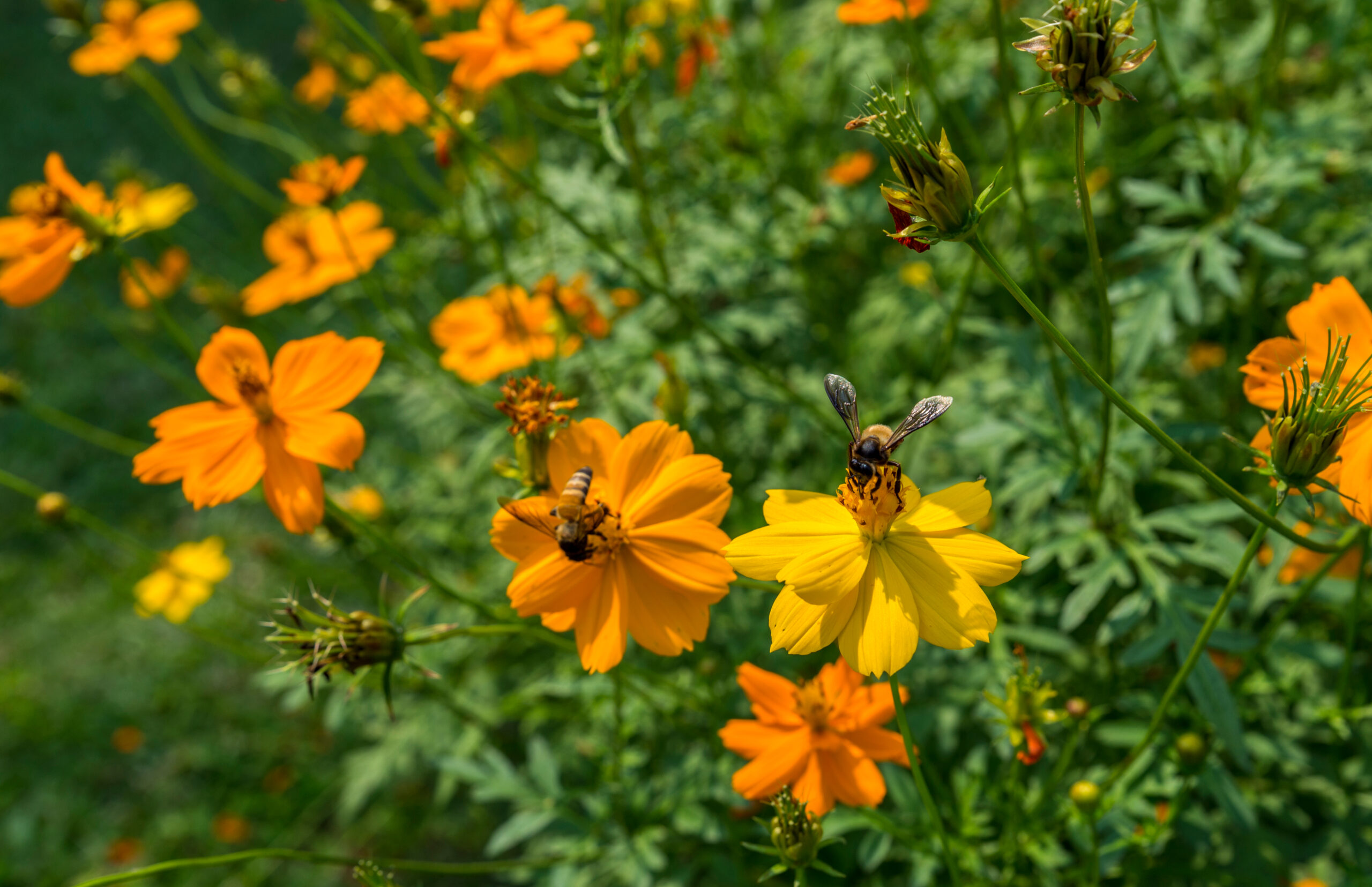 Talk IP with R&G: Sustainability & biodiversity with Alison Benjamin ...