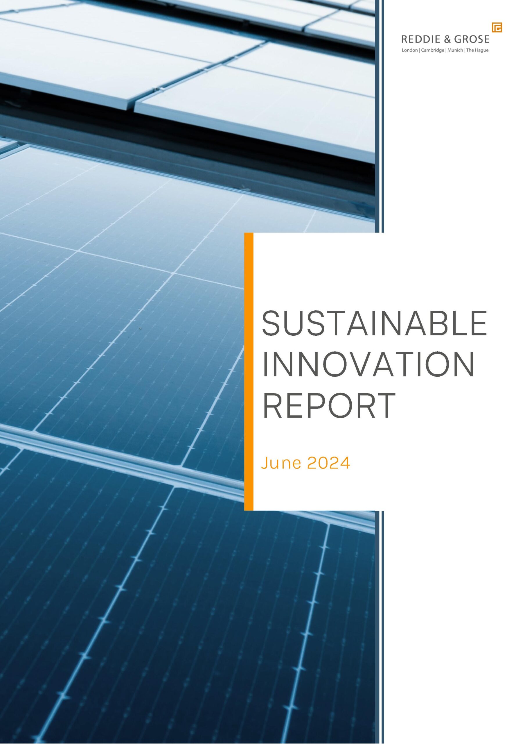 Sustainable Innovation Report 2024 - Intellectual Property Law - Reddie ...