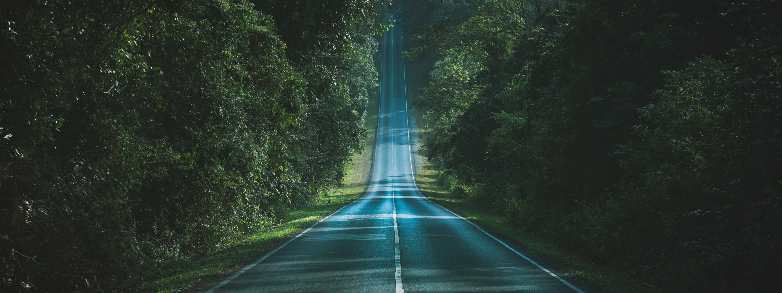 Year in Review: The Transition to a Cleaner, Greener Energy Future ...